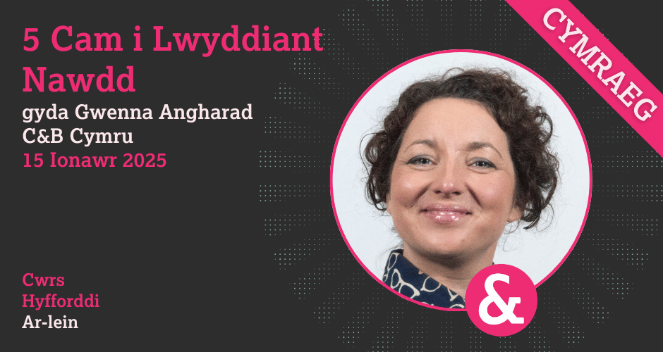 5 Cam i Lwyddiant Nawdd (CYMRAEG) - Arts & Business Cymru